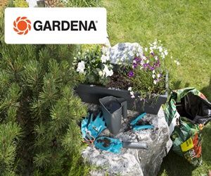 Imagini case, gradini, amenajari interioare, proiecte case lemn, mobila ...